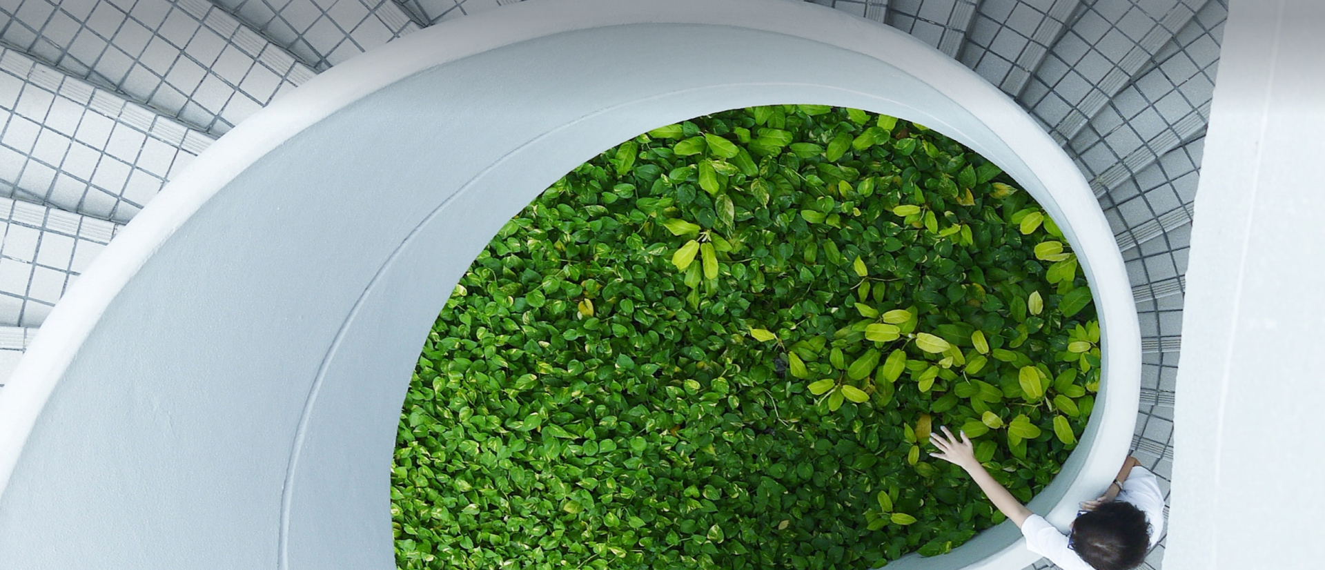 codediva-portfolio EGAT